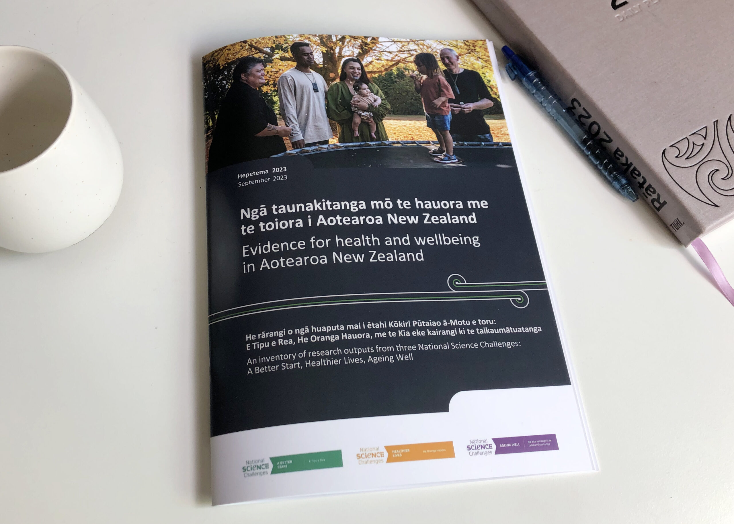 Collating the impact of our research - Ageing Well National Science ...